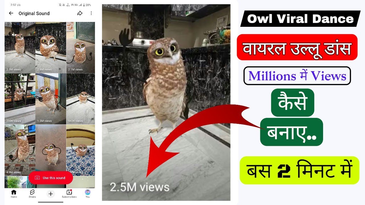 Owl Dance | Viral Ullu Dance Making | Tutorial Filter | Step By Step ...