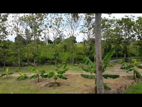 Ruvu JKT Fish farm - YouTube