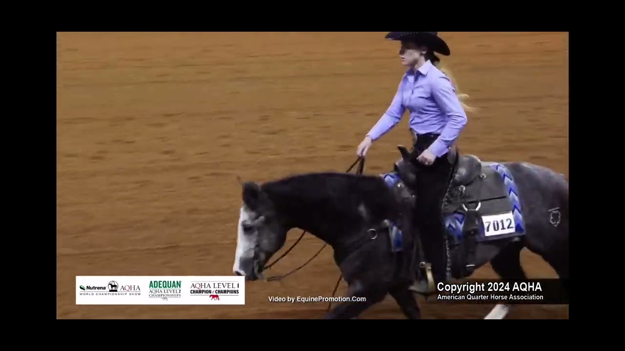 EverybodysTalkinAtMe and Shannon Quinlan Hill Jr Ranch Riding Prelims ...
