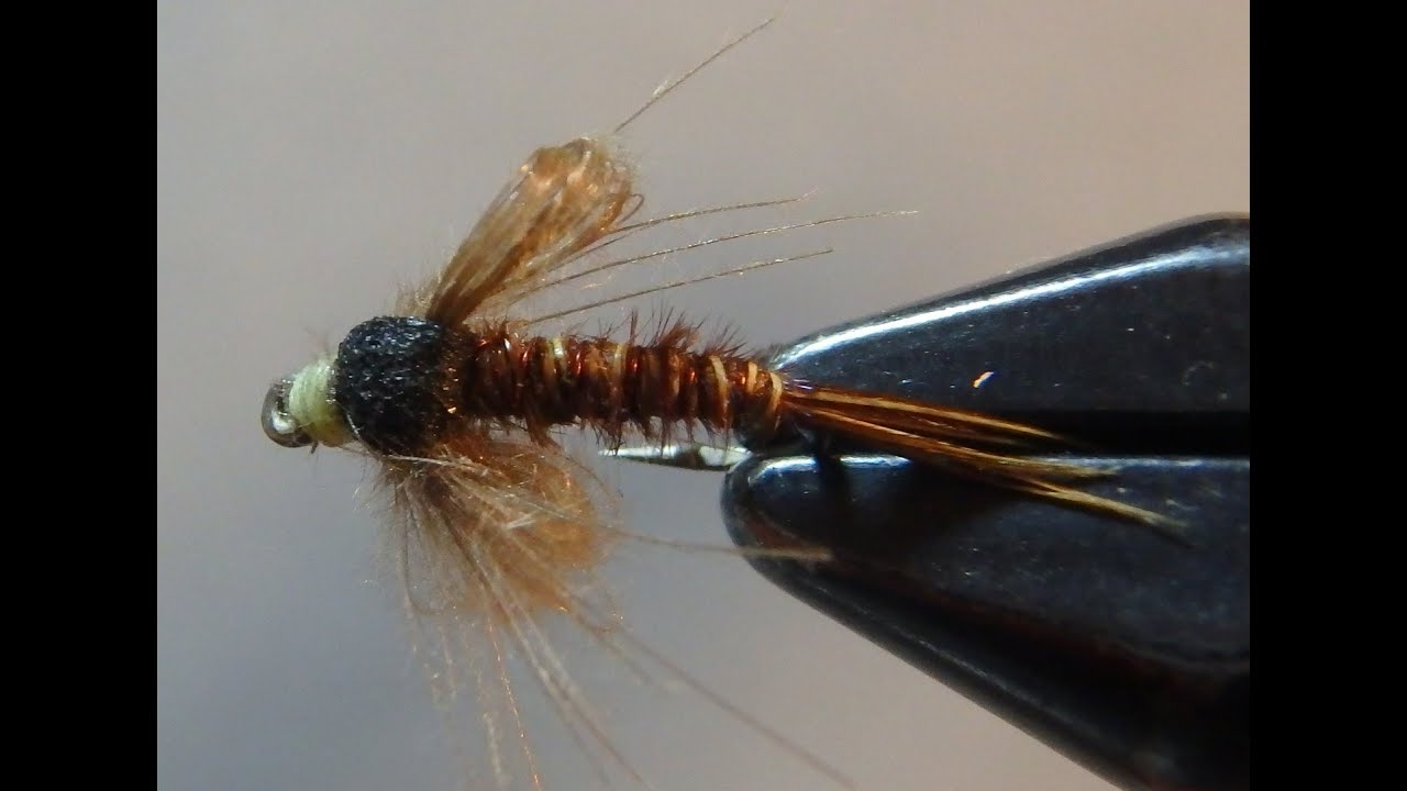 Yamamoto's Buddy Wing Nymph - YouTube