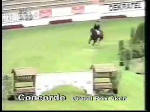from I&H Sporthorses : Concorde stallion: Voltaire x Marco Polo - YouTube