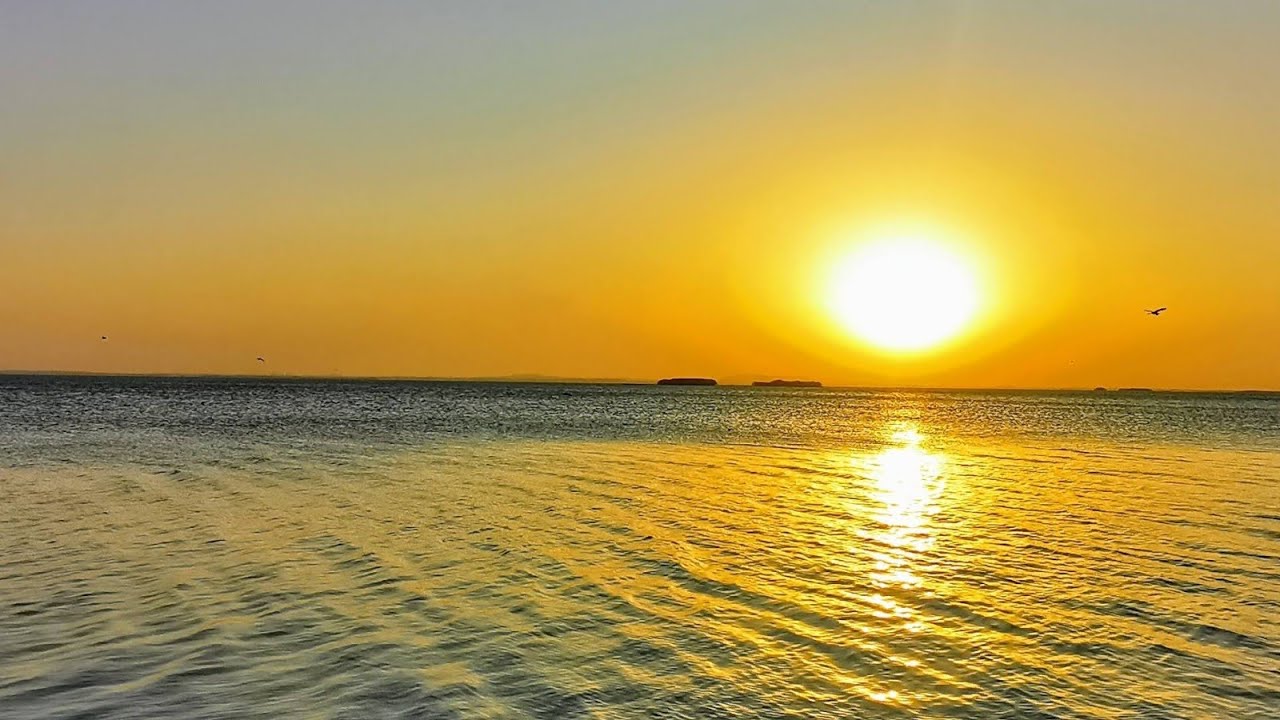 UN PASEÓ EN LA LAGUNA DE PUEBLO VIEJO VERACRUZ 2/3 #1000 - YouTube