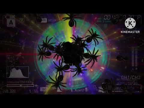 Vyond Effects Kit Space Loop Spooky Spiders - YouTube