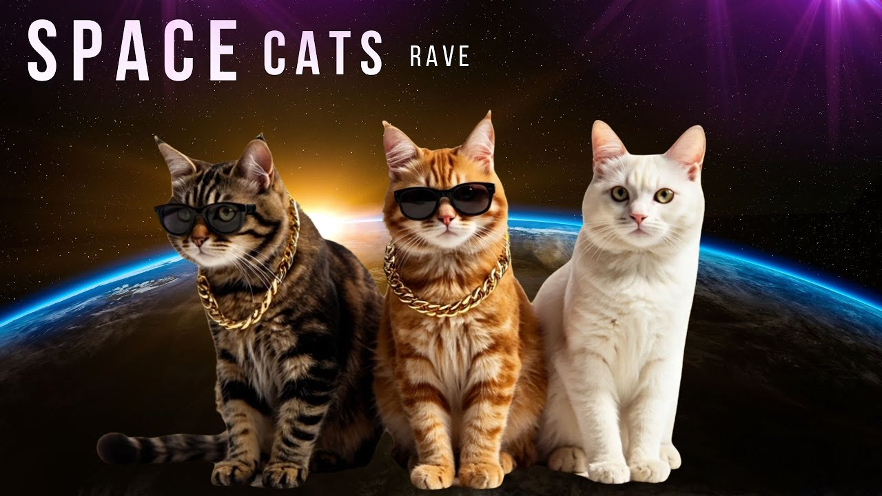 Space Cats rave - YouTube