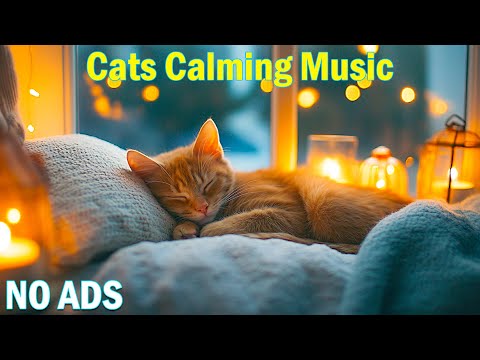 Kediler için 12 Saat Rahatlatıcı Müzik💖Kedileri Yatıştıracak Yumuşak Müzik🐈🎵Kedilerde Kaygıyı Aza