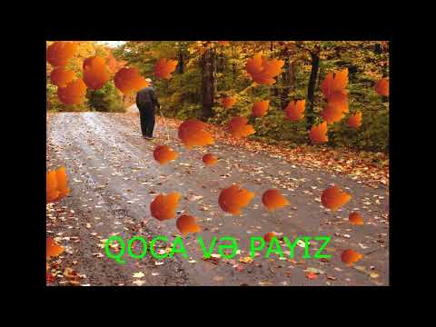 QOCA VƏ PAYIZ (NEMƏT MƏTİN)
