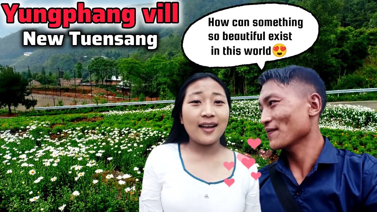 THE LAND OF FLOWERS, DO VISIT YUNGPHANG VILL//NEW TUENSANG// HANGOUTS ...