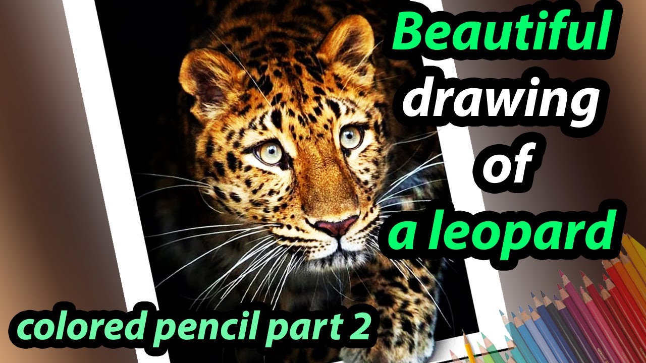 Professional drawing of a leopard : Part 2 Drawing with colored pencils ...