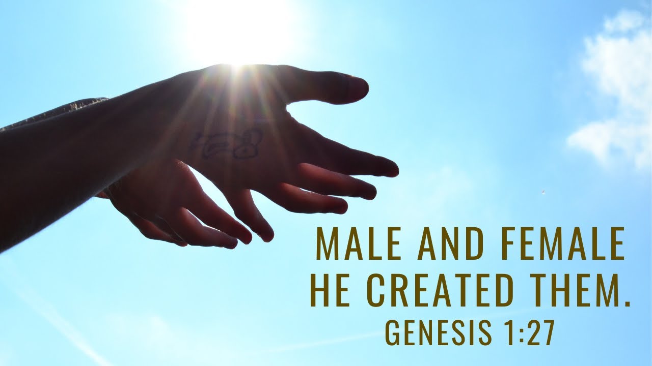 Male and Female He Created Them Genesis 1:27 - YouTube