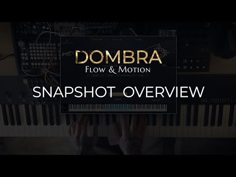 Flow & Motion: DOMBRA - Snapshots Overview