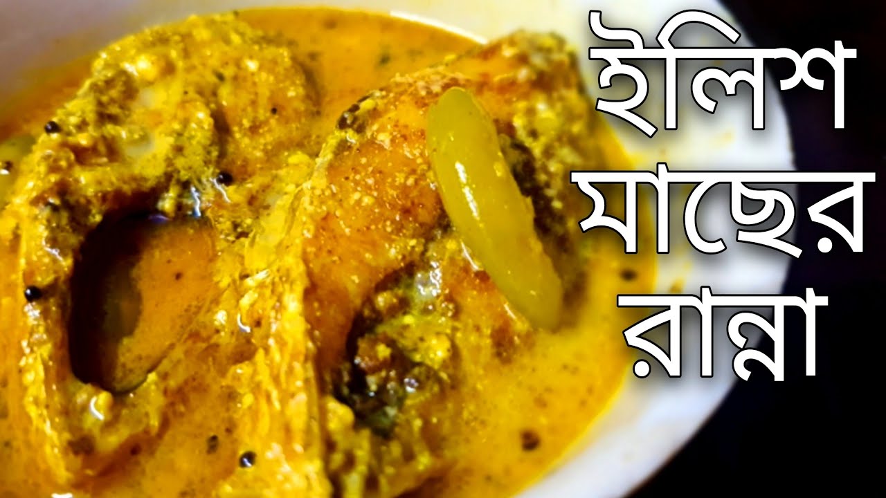 Doi Ilish 2023 Macher Recipe Bengali How To Make Hilsa Fish Recipes ...