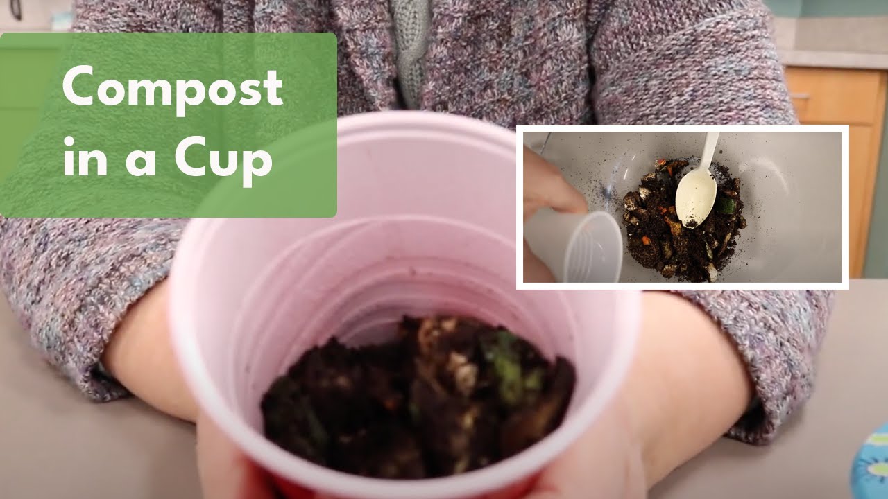Compost in a Cup | Science & STEAM for Kids - YouTube