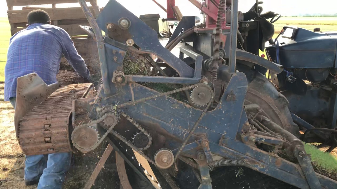 Cutting grass on the farm - YouTube