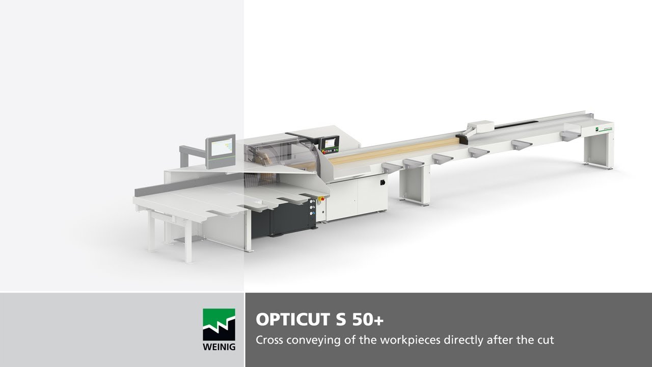 Pushfeed saw OptiCut S 50+ | The cross-cutting system for progressive ...