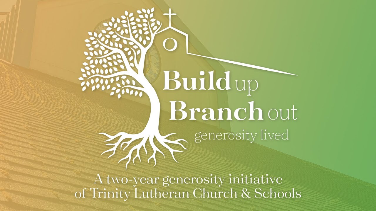 Build Up, Branch Out Intro Video - YouTube