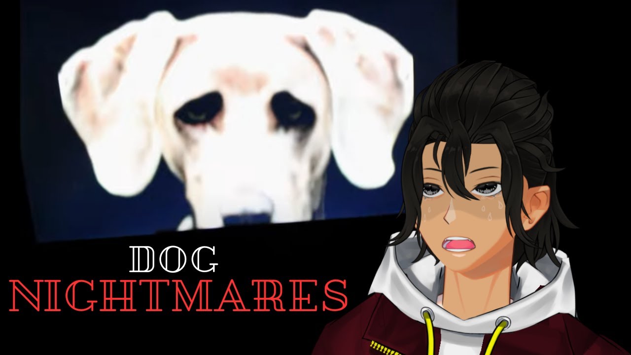 WTF is the dog doing??? | Dog Nightmares (REACTION) - YouTube