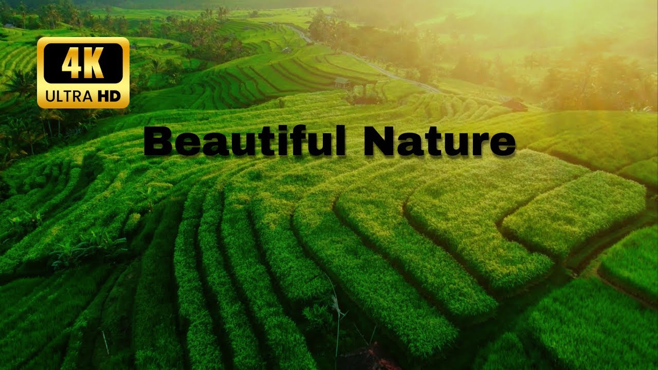 4K Natural Landscapes | Ultra HD Nature | Relaxing sounds | Beautiful ...