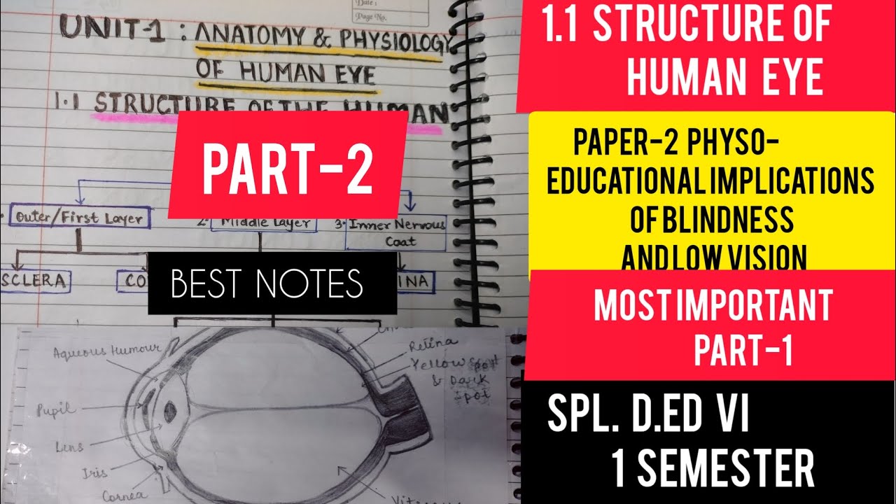 Part-2 UNIT1.1 STRUCTURE OF HUMAN EYE Spl. D.Ed VI Sem-1 with best ...