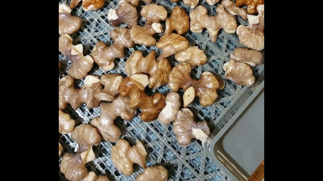 Rapid sawing Black Walnuts with the Walnut Saw™ - YouTube