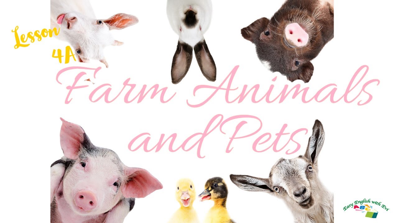 Lesson 4A: Farm Animals and Pets - YouTube