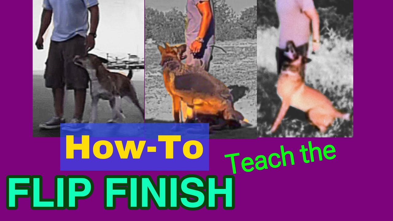 How to Train the Heel/Flip Finish - YouTube