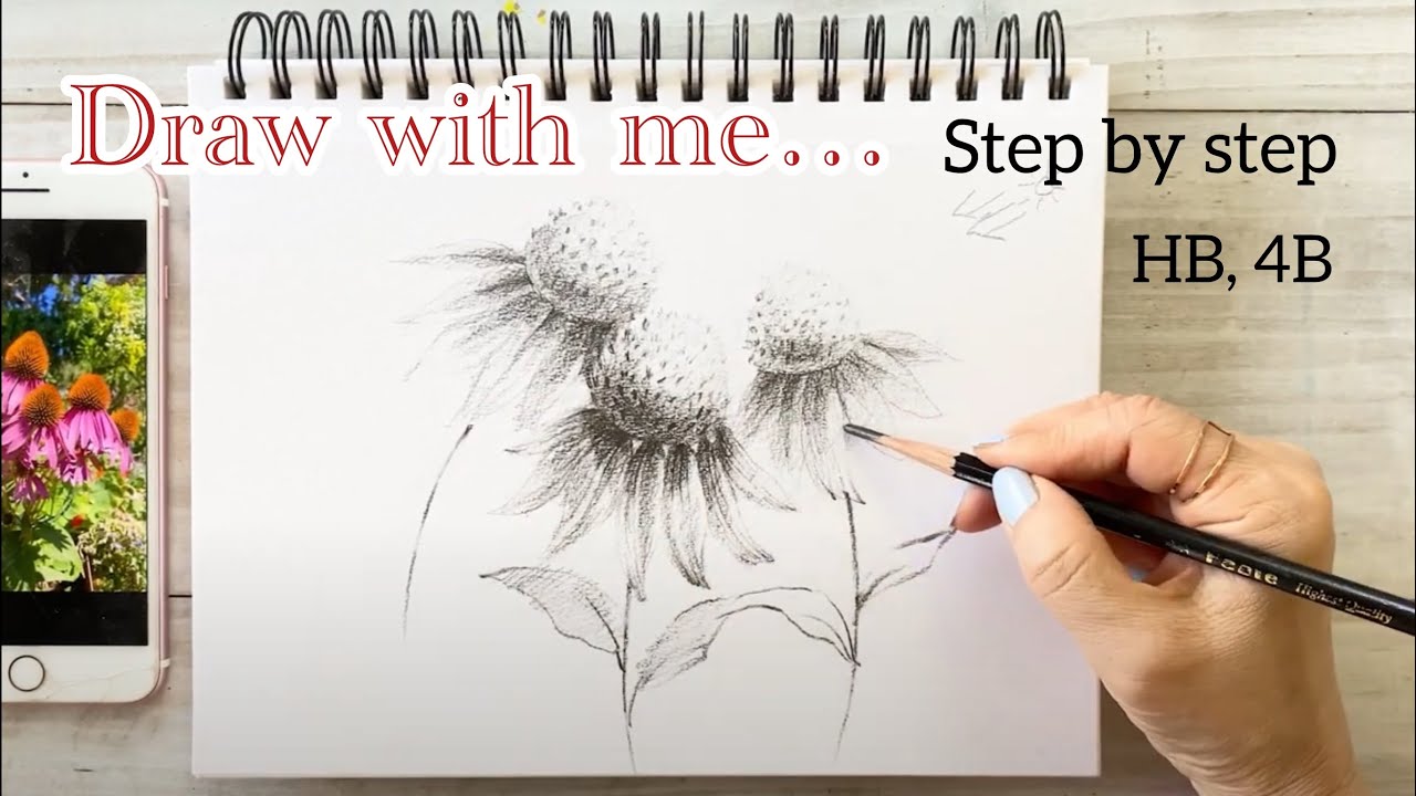 HB & 4B. DRAW WITH ME. Pencil Drawing- Echinacea Flower -Tutorial Step ...