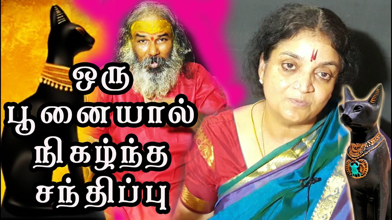 ஒரு பூனையால் நிகழ்ந்த சந்திப்பு | yaanan | @channelartindia - YouTube