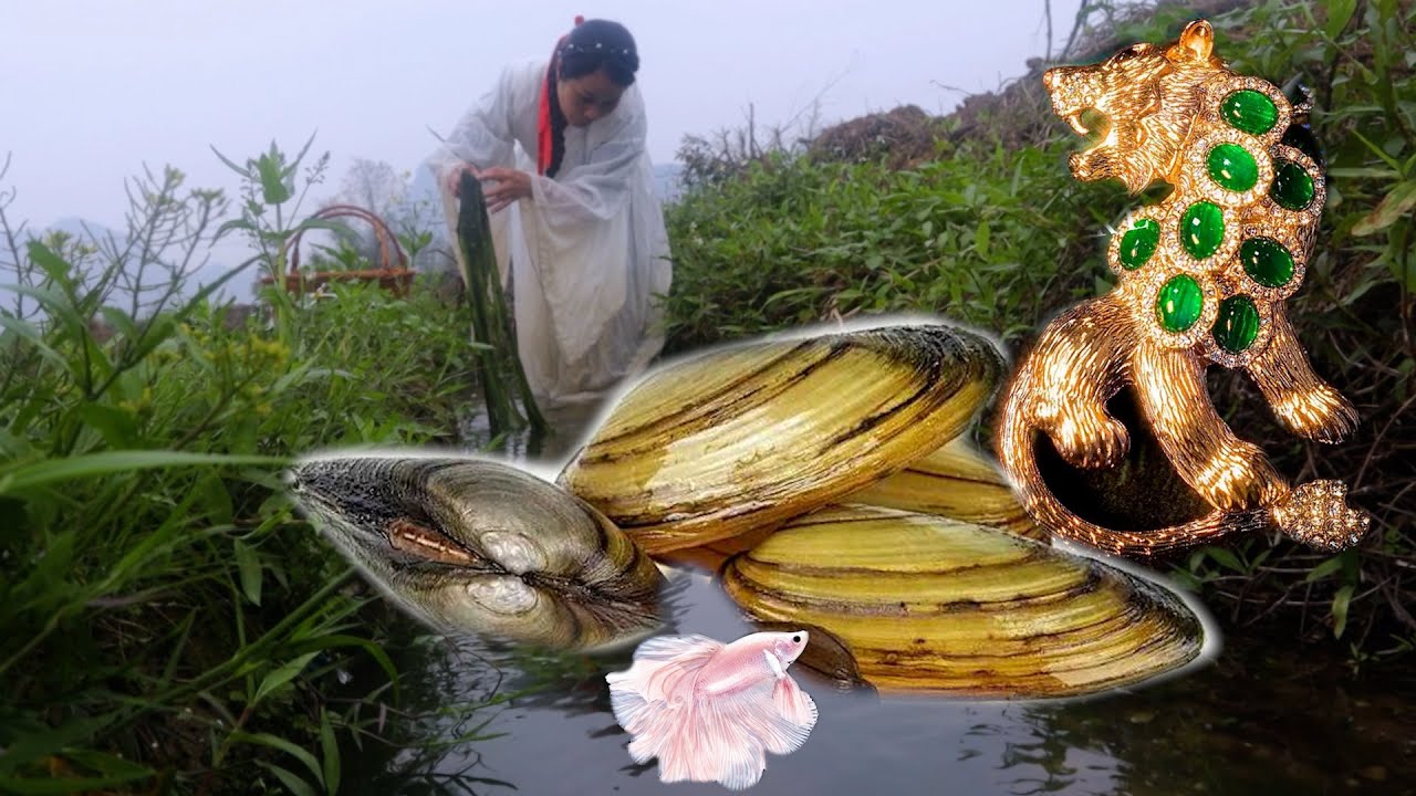 There is a pair of clams hidden under the water grass, nurturing ...