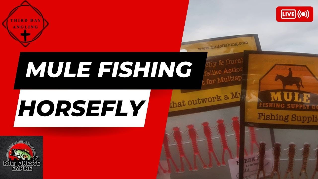 Catch 'em All With Mule Fishing Supply Co. HORSEFLY! - YouTube