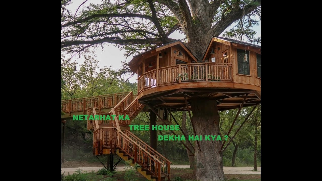 NETARHAT KA TREE HOUSE DEKHA HAI KYA ? ( नेतराहाट का ट्री हाउस) - YouTube