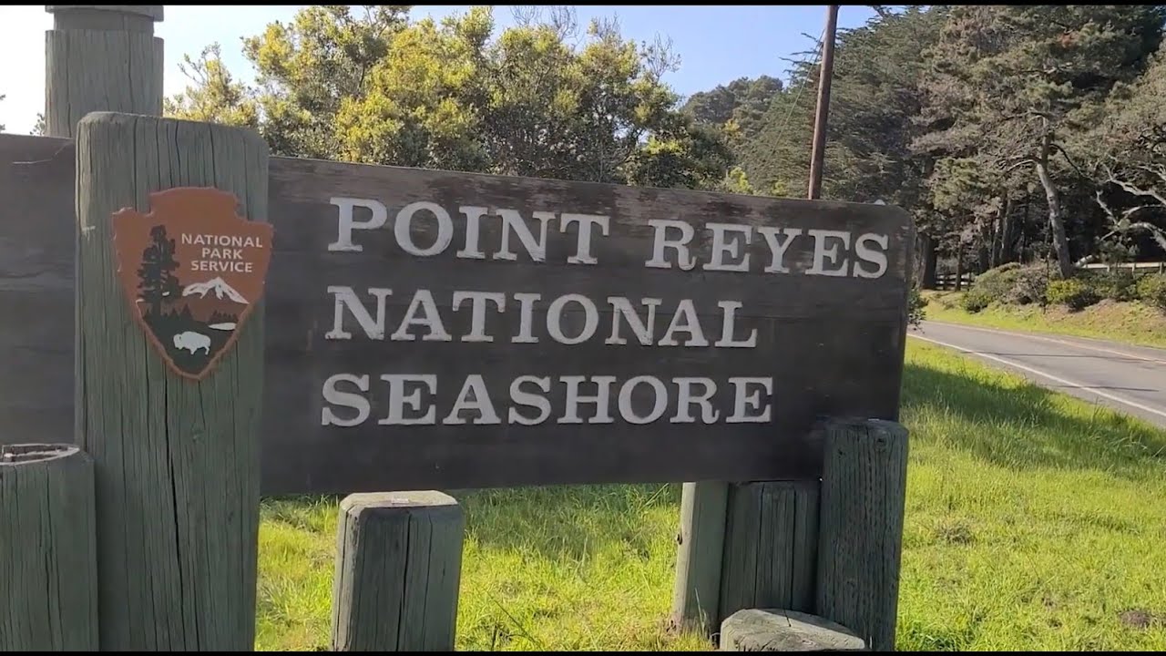 Nature Spaces for Young Children - Wildlife of Point Reyes National ...
