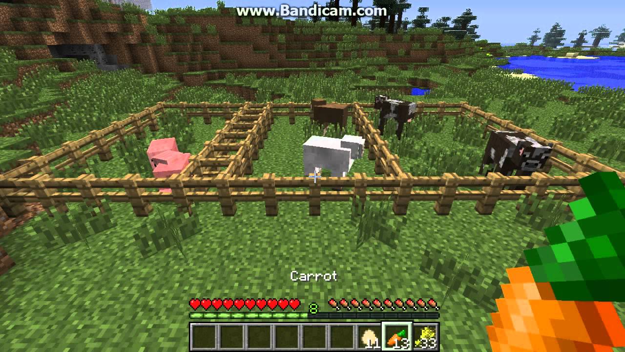 Minecraft How-To: Basic Animal Farming/Breeding - YouTube