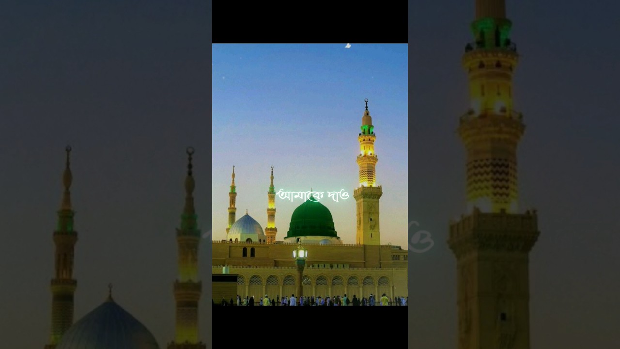 আমাকে দাও পাখির দুটো ডানা | মদিনার গজল#islamicsongs #madina #Islamic # ...