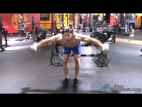 Dumbbell Bent Over Lateral Raise - YouTube