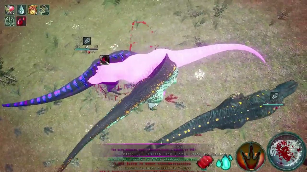 Acro comp 5 - YouTube