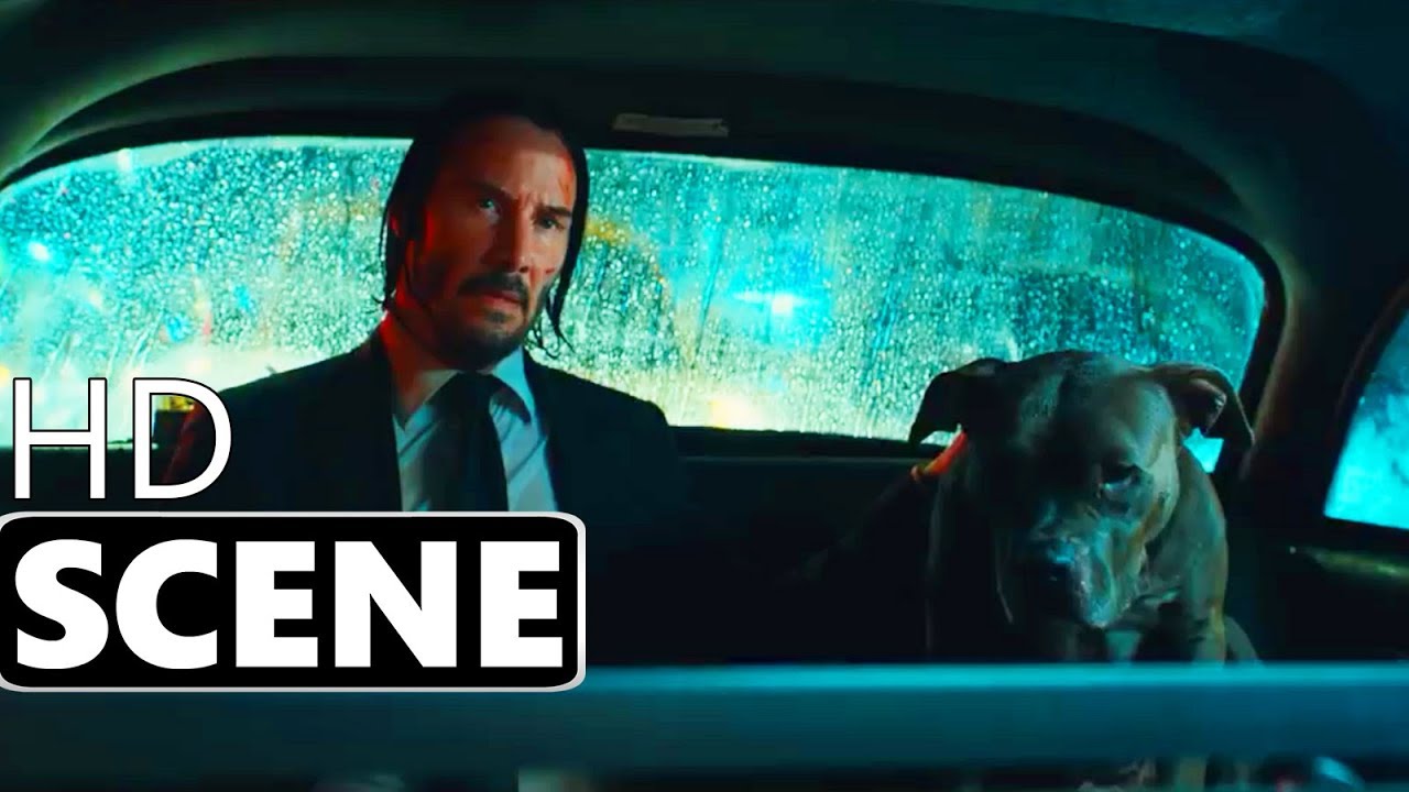 JOHN WICK 3: PARABELLUM - Good Dog Scene (2019) - YouTube