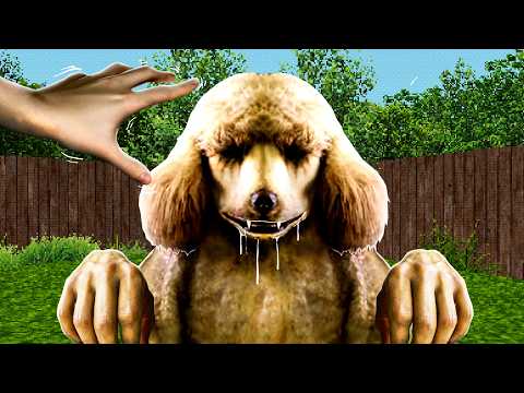 The Man In The DOG Suit