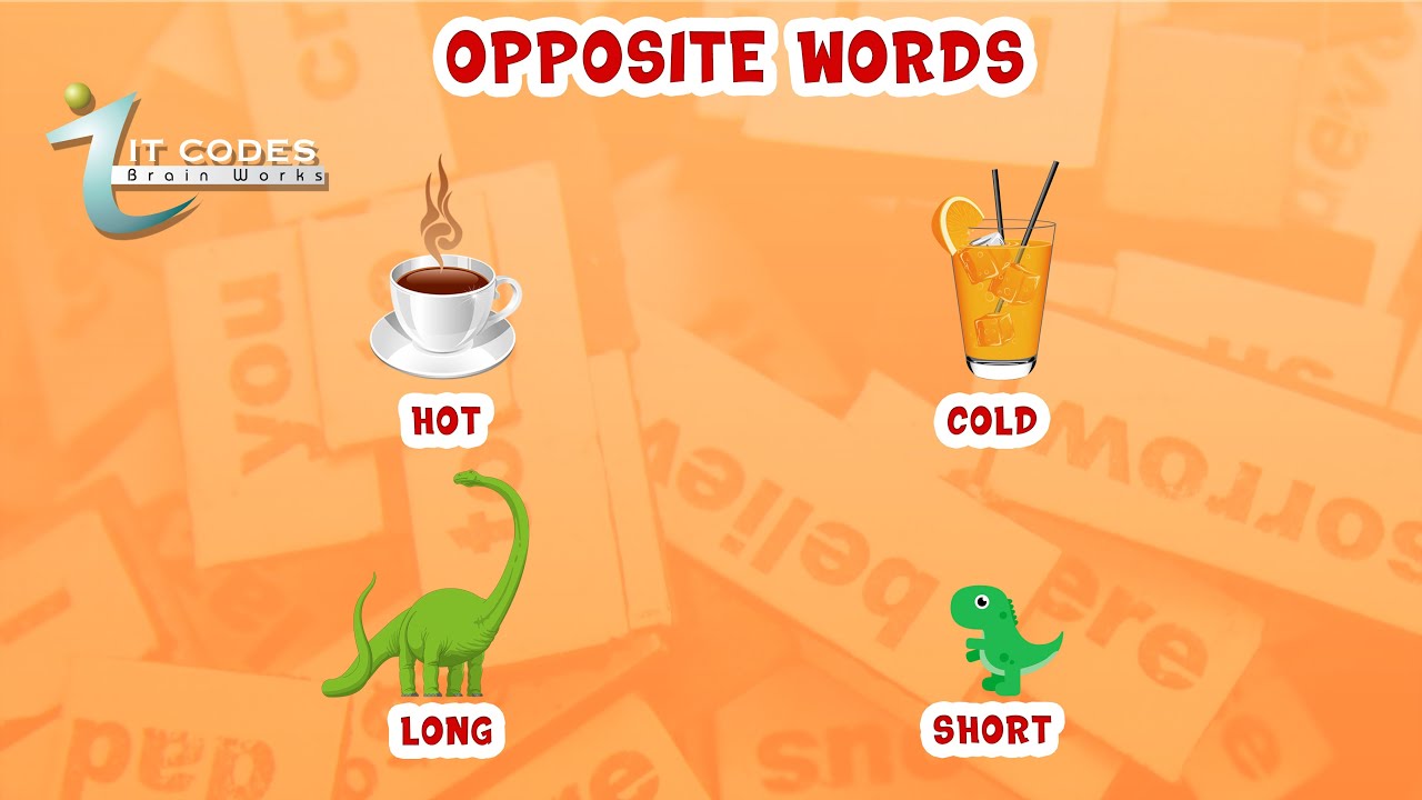 30 Important opposite words | Antonyms | Vocabulary | Antonyms Words ...