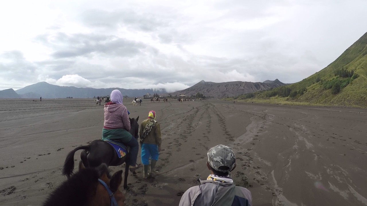Naik Kuda mendaki Gunung Bromo - YouTube