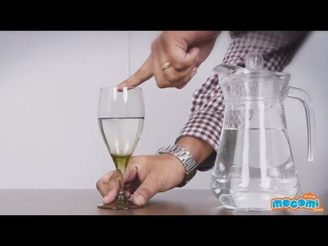 Singing Wine Glass Experiment - Science Projects for Kids | Educational ...