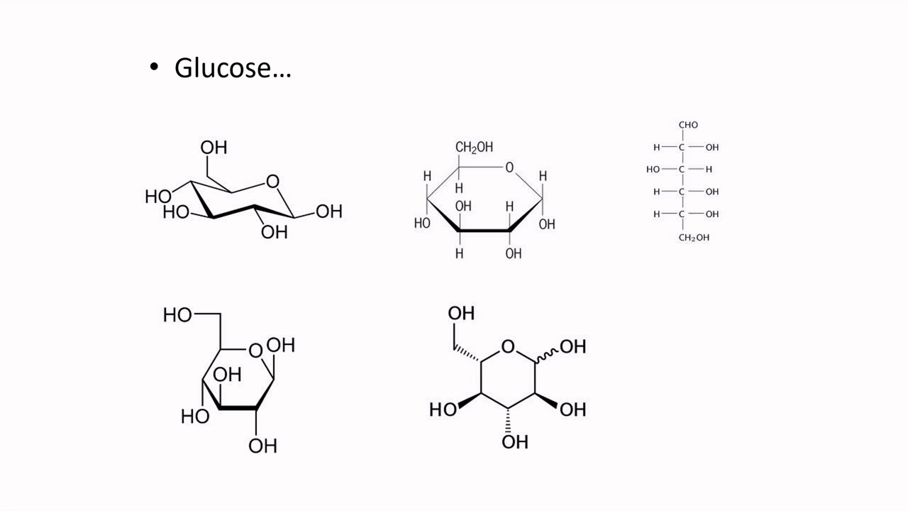 Let's Learn Food Science - Carbohydrates in Foods - Structure - YouTube