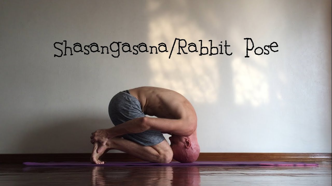 Shasangasana/Rabbit Pose - YouTube