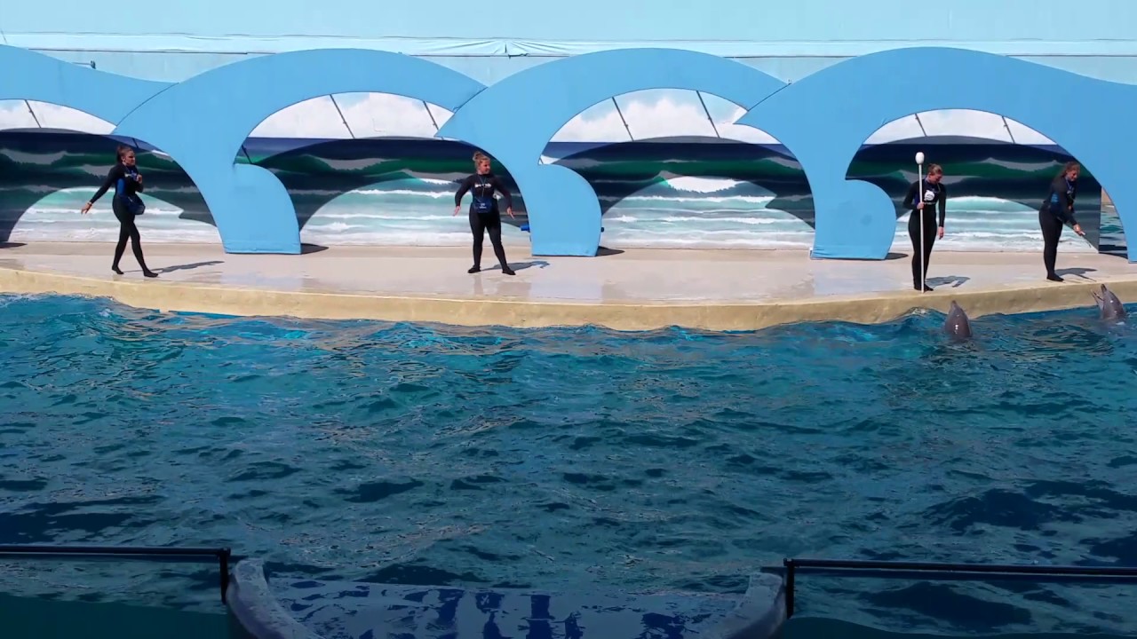 Gulf World Marine Park Panama City Florida - YouTube