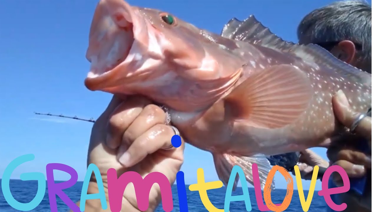 BONUS FOOTAGE QUEEN FLEET FISHING - YouTube