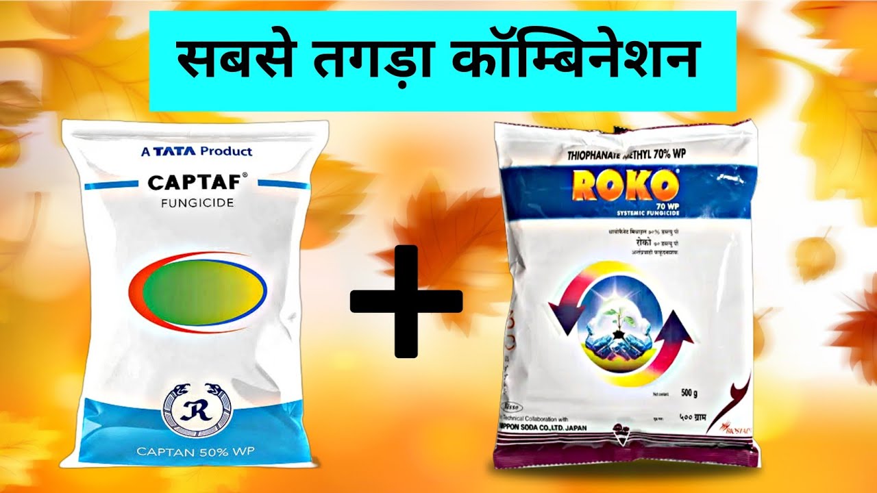 Best Fungicide combination | roko fungicide | captan Fungicide | captan ...