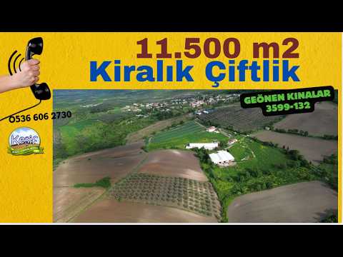 11.500 m2 Deniz Manzaralı Kiralık Çiftlik 0-540. Balıkesir Gönen Çifteçeşmeler 700.000 TL Yıllık
