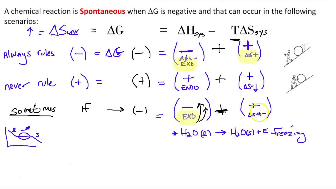 AP Chemistry The Thermo Sign Lecture - YouTube