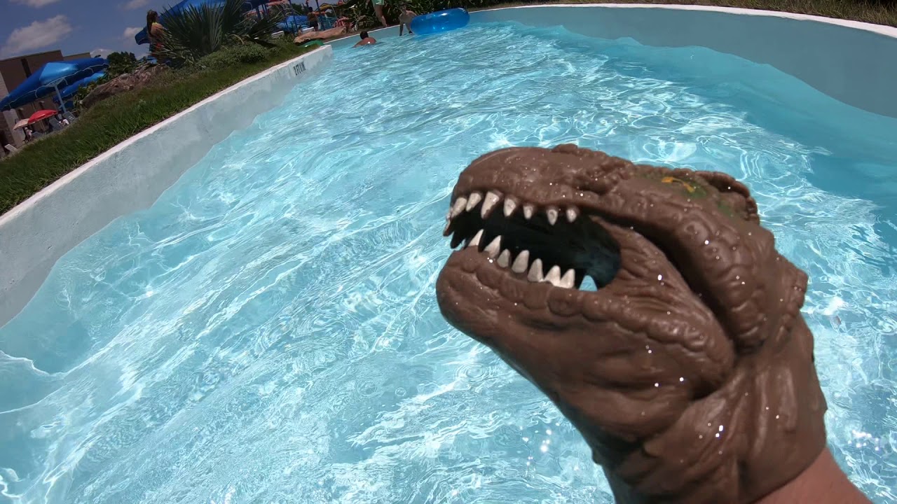 PPM Short: Raptor goes swimming GoPro Hero7 - YouTube
