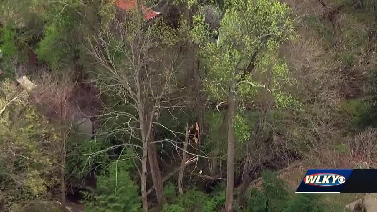 Neighbors grieving Louisville man killed by falling tree during storms ...