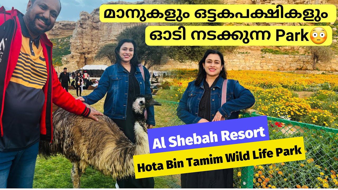 Al Shebah Resort Riyadh | Hota Bin Tamim Wild Life Park #wildlifepark # ...